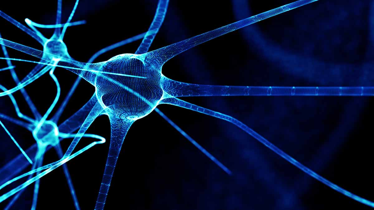 Therapy for axon repair in central nervous system | Ohio State Health ...